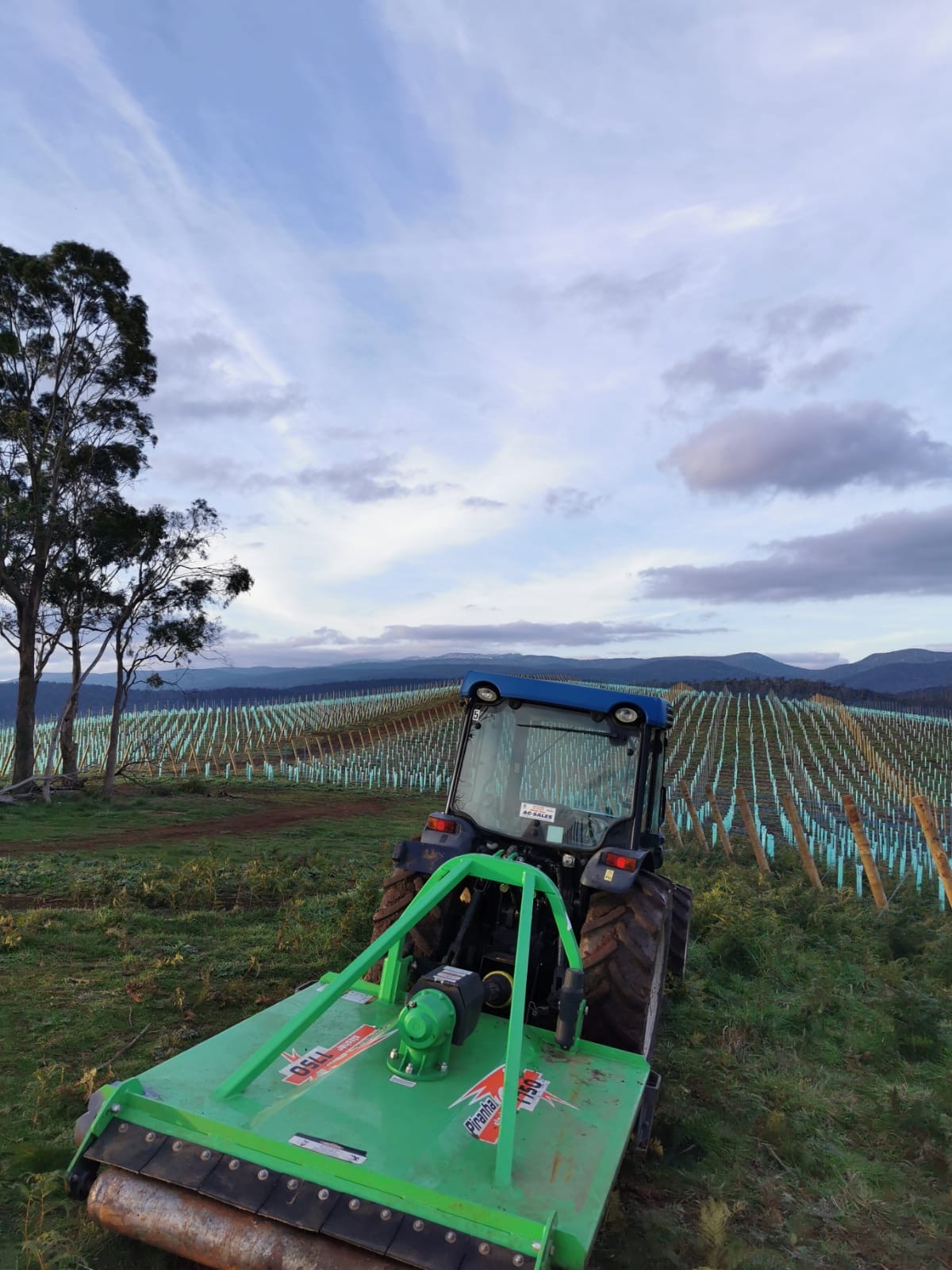 IMPLEMENTS - Northern Vineyard Services